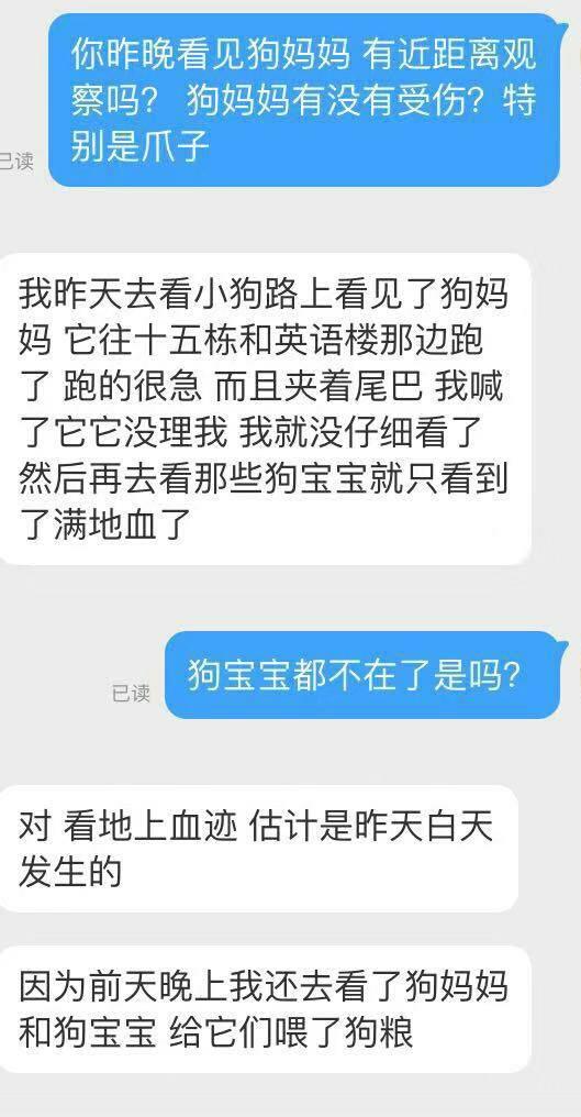 中南民族大学回应校内疑似出现虐狗事件:消息不属实荔枝网新闻