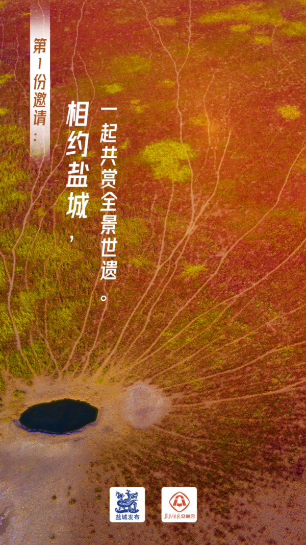 盐城向海内外朋友发出“四份邀请”,来一场“相聚40年的约会”!_荔枝网新闻 盐城向海内外朋友发出“四份邀请”,来一场“相聚40年的约会”!_荔枝网新闻