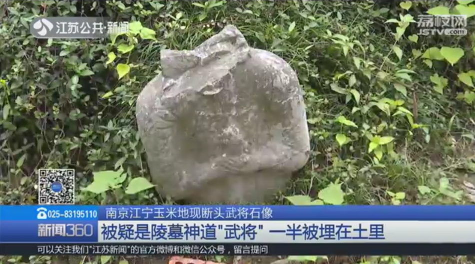 南京江宁玉米地现断头武将石像 被疑是陵墓神道武将 一半被埋在土里 我苏网