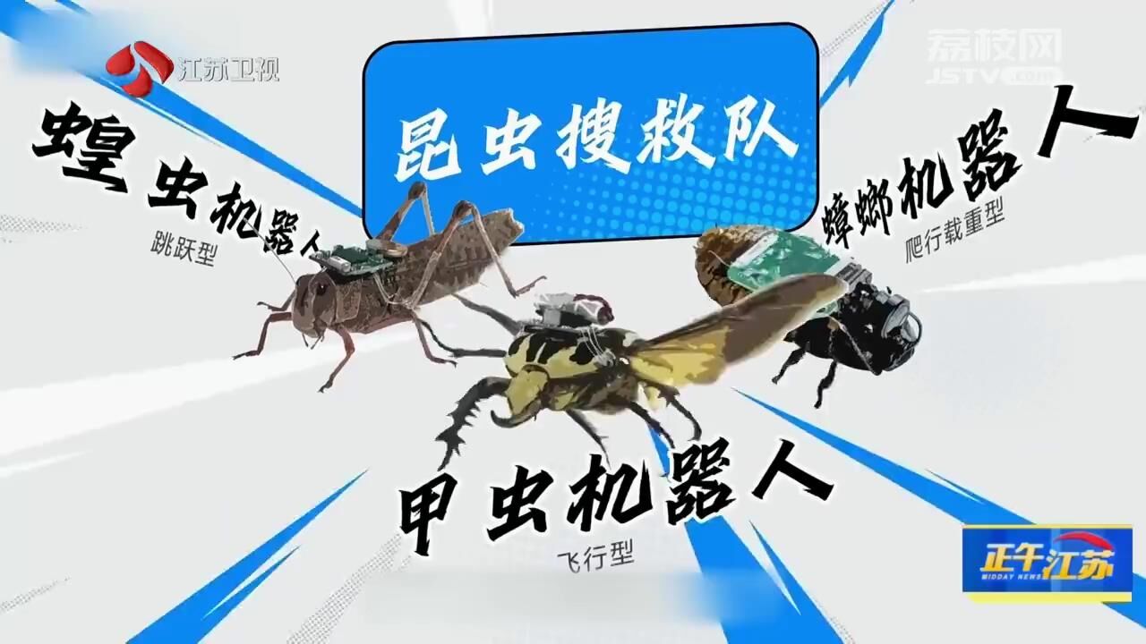 观天下丨高校教师和他的昆虫机器人背上电子背包蟑螂也能参与救灾 我苏网