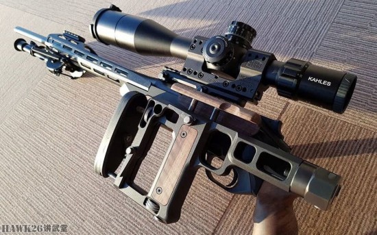 斯洛文尼亚AKILA改造组件《红海行动》狙击步枪可以使用_荔枝网新闻
