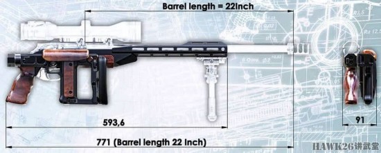 斯洛文尼亚AKILA改造组件《红海行动》狙击步枪可以使用_荔枝网新闻