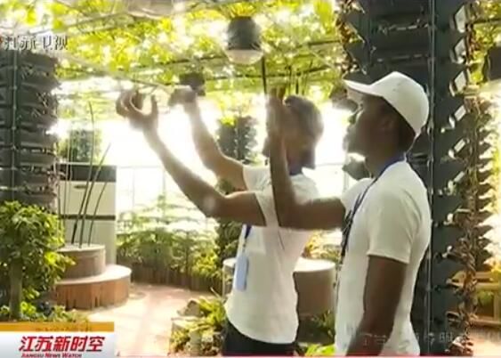 “Foreigners’ View of Jiangsu” Goes to Funing County_我苏网